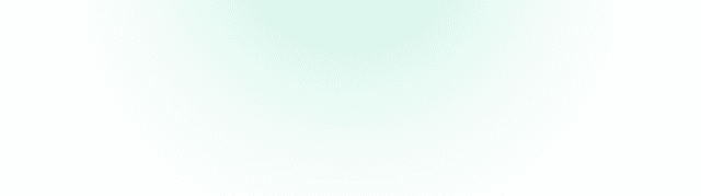 Elevation Mentorship